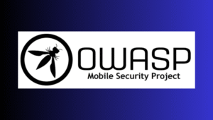 OWASP Top 10 Mobile Vulnerabilities: Key Insights for 2025 Security | A-Dev